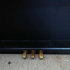 【Piano Điện Technics SX-PX224 】 Thiên Di Piano 0888 15 15 88